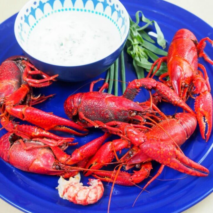 Langoustines with herbed cream - Caroline's Cooking