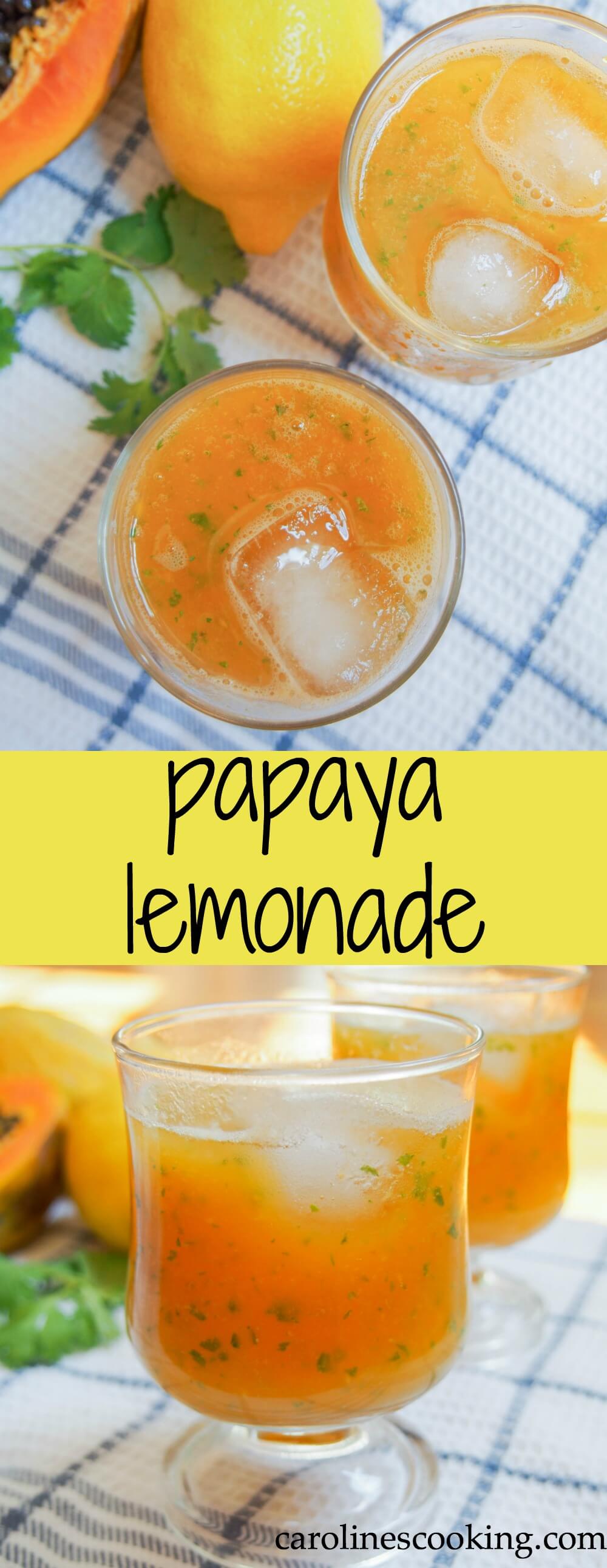 Papaya lemonade (or cocktail!) - Caroline's Cooking