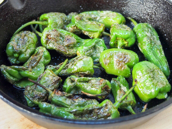 Blistered Padron peppers (pimientos de Padrón) - Caroline's Cooking