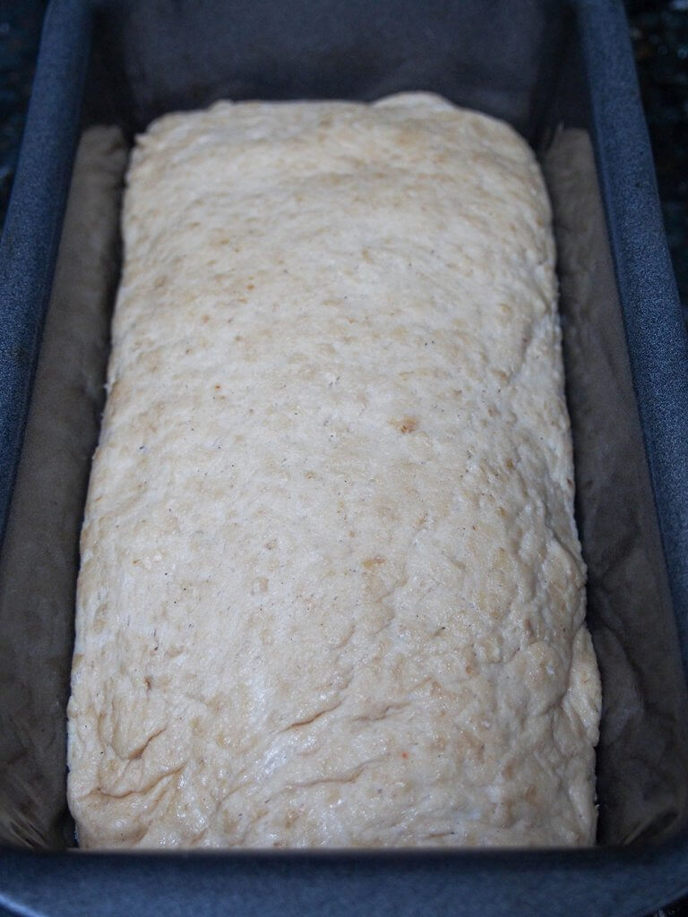 Sprouted wheat bread - Caroline's Cooking