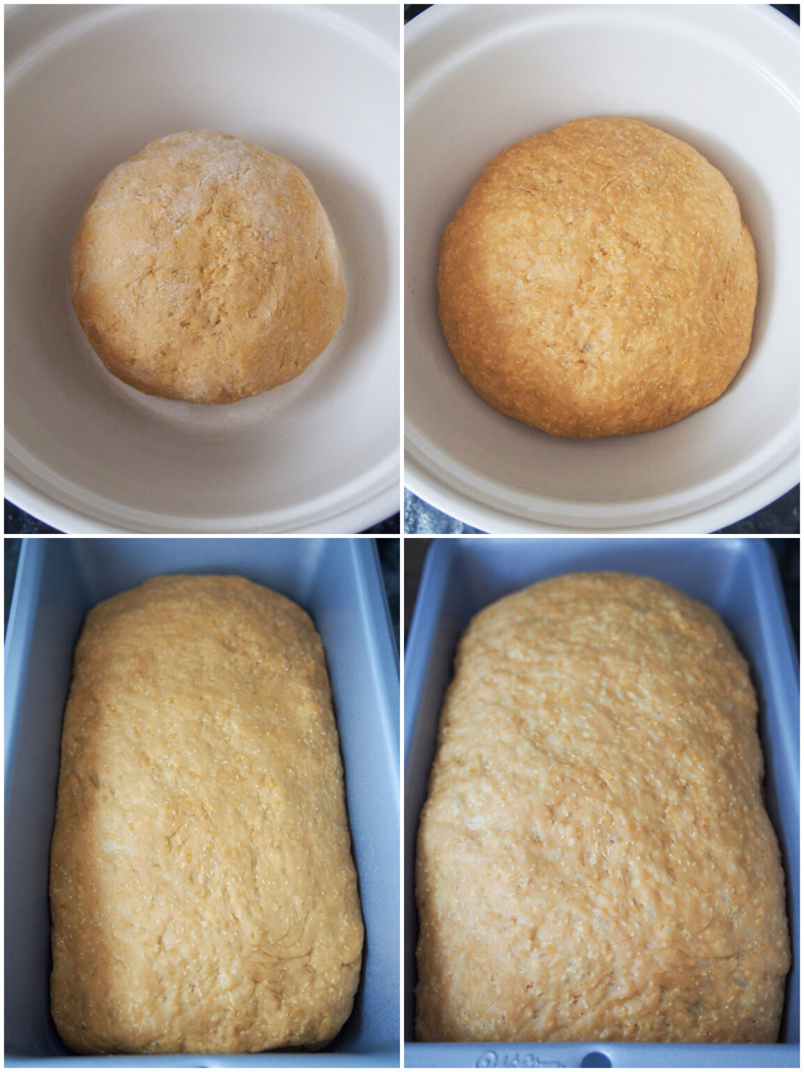 Anadama bread - Caroline's Cooking