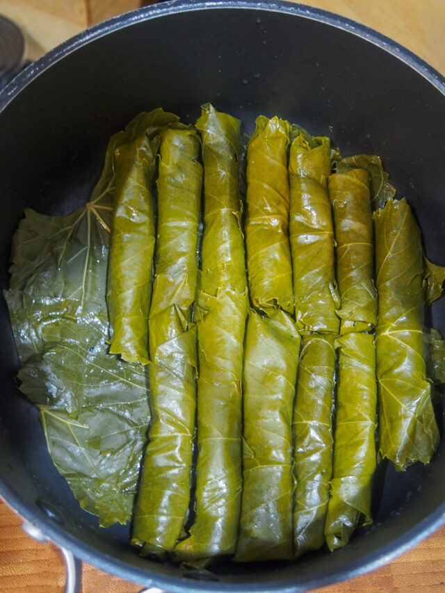 Turkish stuffed grape leaves (yalancı dolma) - Caroline's Cooking
