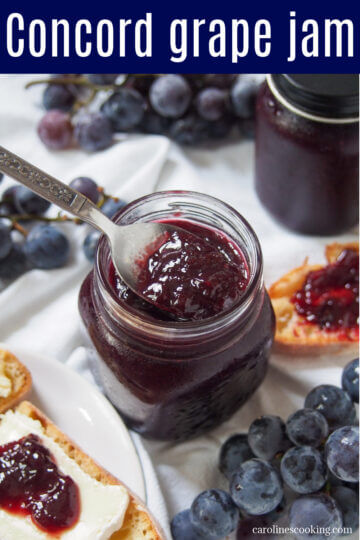 Concord grape jam - Caroline's Cooking